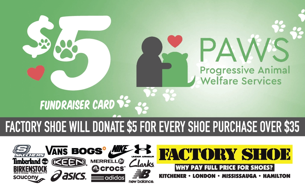 Factory Shoe Partnership – Supporting Pet Care Access – PAWS Canada