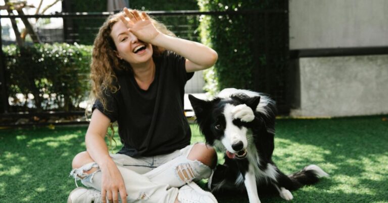 Animal Welfare Services for Pet Owners – PAWS Canada